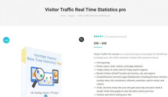 Visitor Traffic Real Time Statistics Pro - CreativeSea